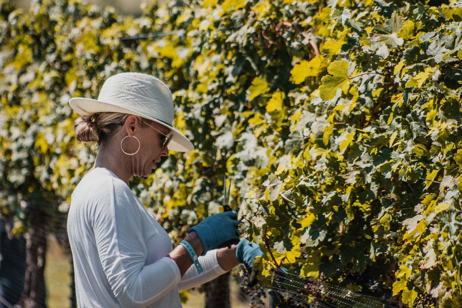 Blue Ostrich Events - Blue Ostrich