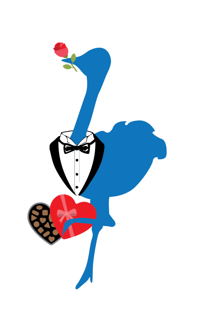 Blue Ostrich Events - Blue Ostrich